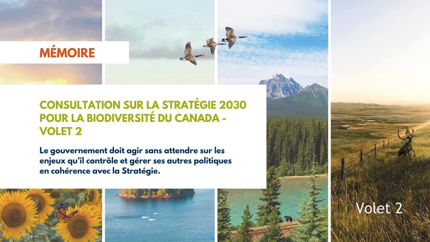 Mémoire : Stratégie 2030 pour la biodiversité du Canada - Volet II - RNCREQ